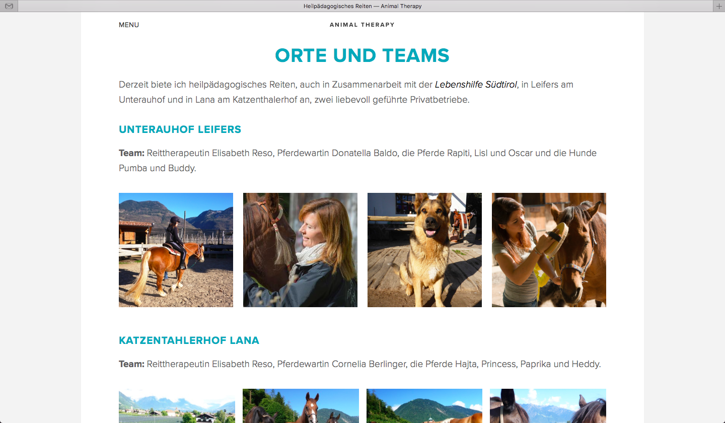 Veterinary Logo and Branding Design - anjapircher.com