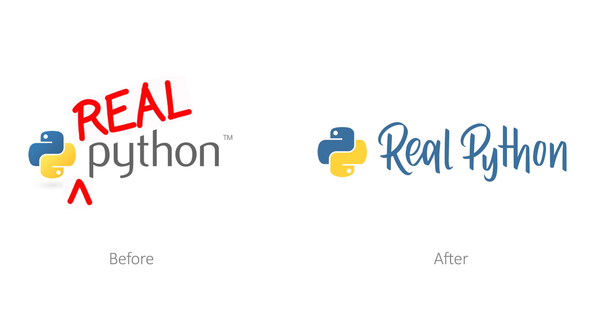 Logo Redesign Case Study - anjapircher.com