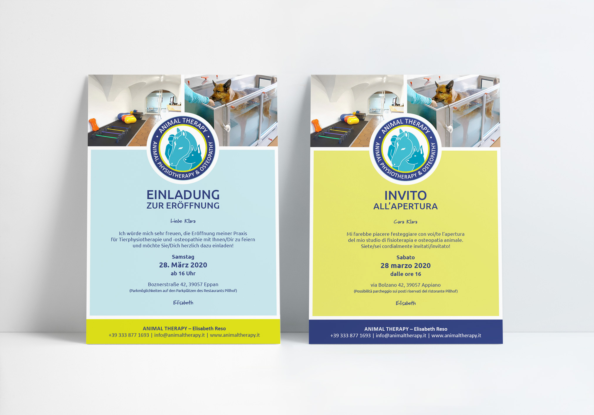 Veterinary Logo and Branding Design - anjapircher.com